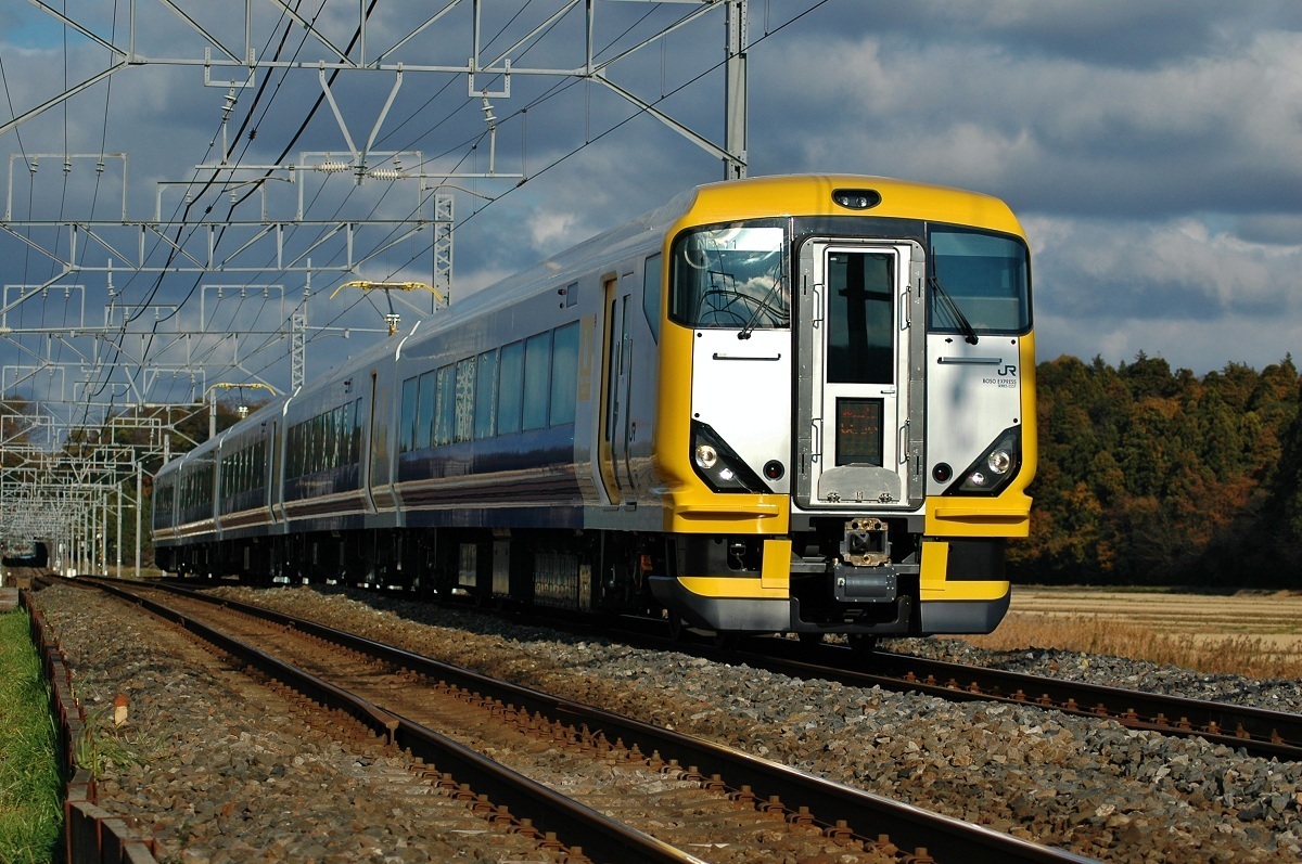 E257系500番代 マリNB-11編成: 房総半島を走るJR車輛